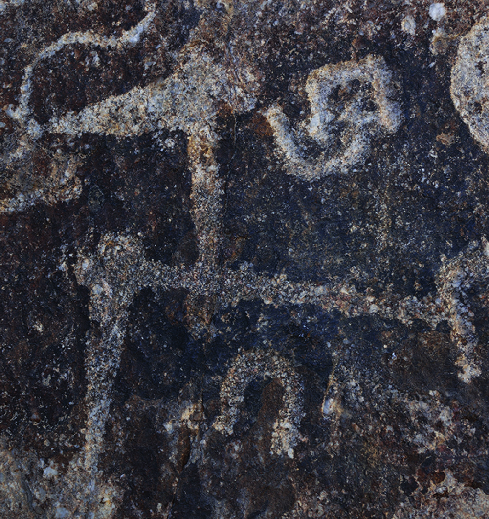 Rock art discovered in Iran Rock art discovered in Iran