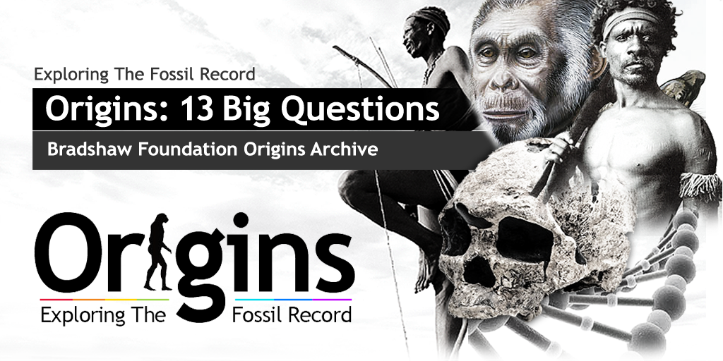 13 Big Questions in Human Evolution