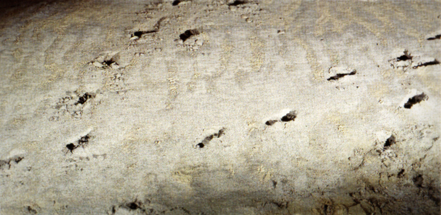 Chauvet Cave Footprints