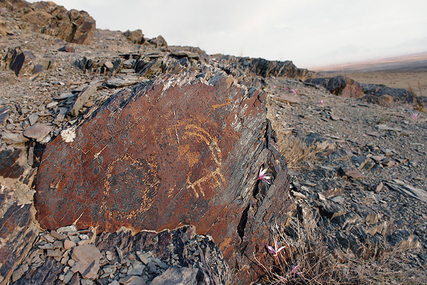 Middle East Rock Art Archive - Iran Rock Art Gallery