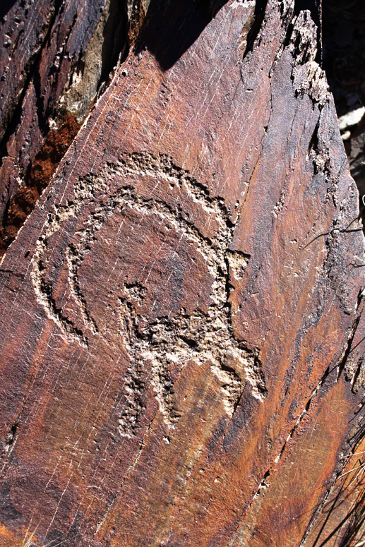 Middle East Rock Art Archive - Iran Rock Art Gallery