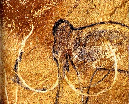 Mammoth front on tusks