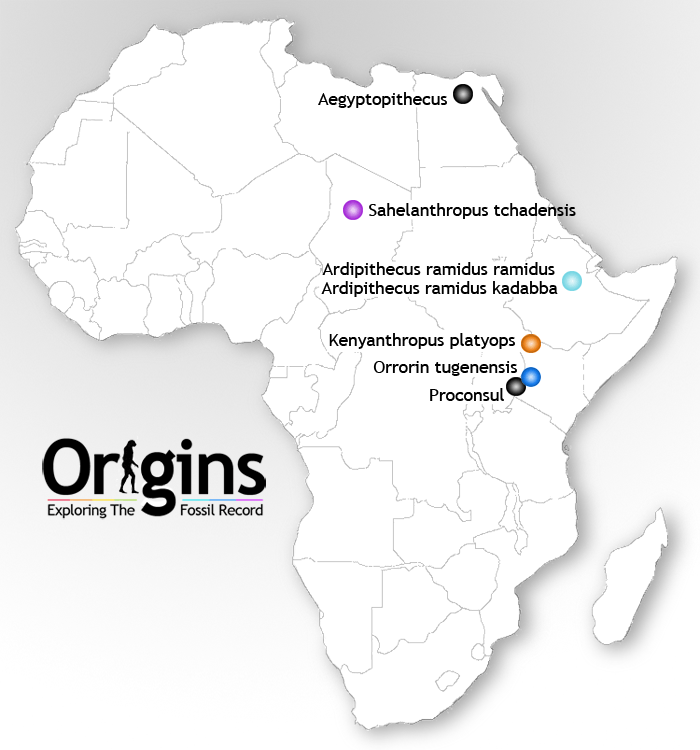 Human Origins - Short Story of Human Evolution