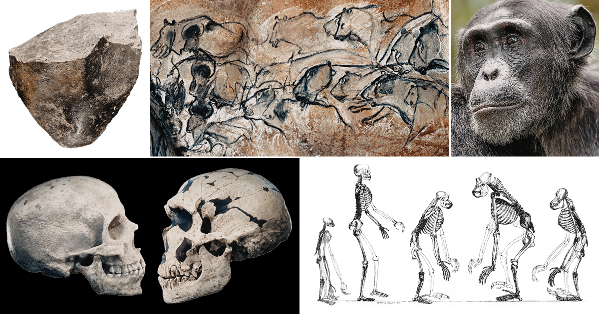 13 Big Questions in Human Evolution
