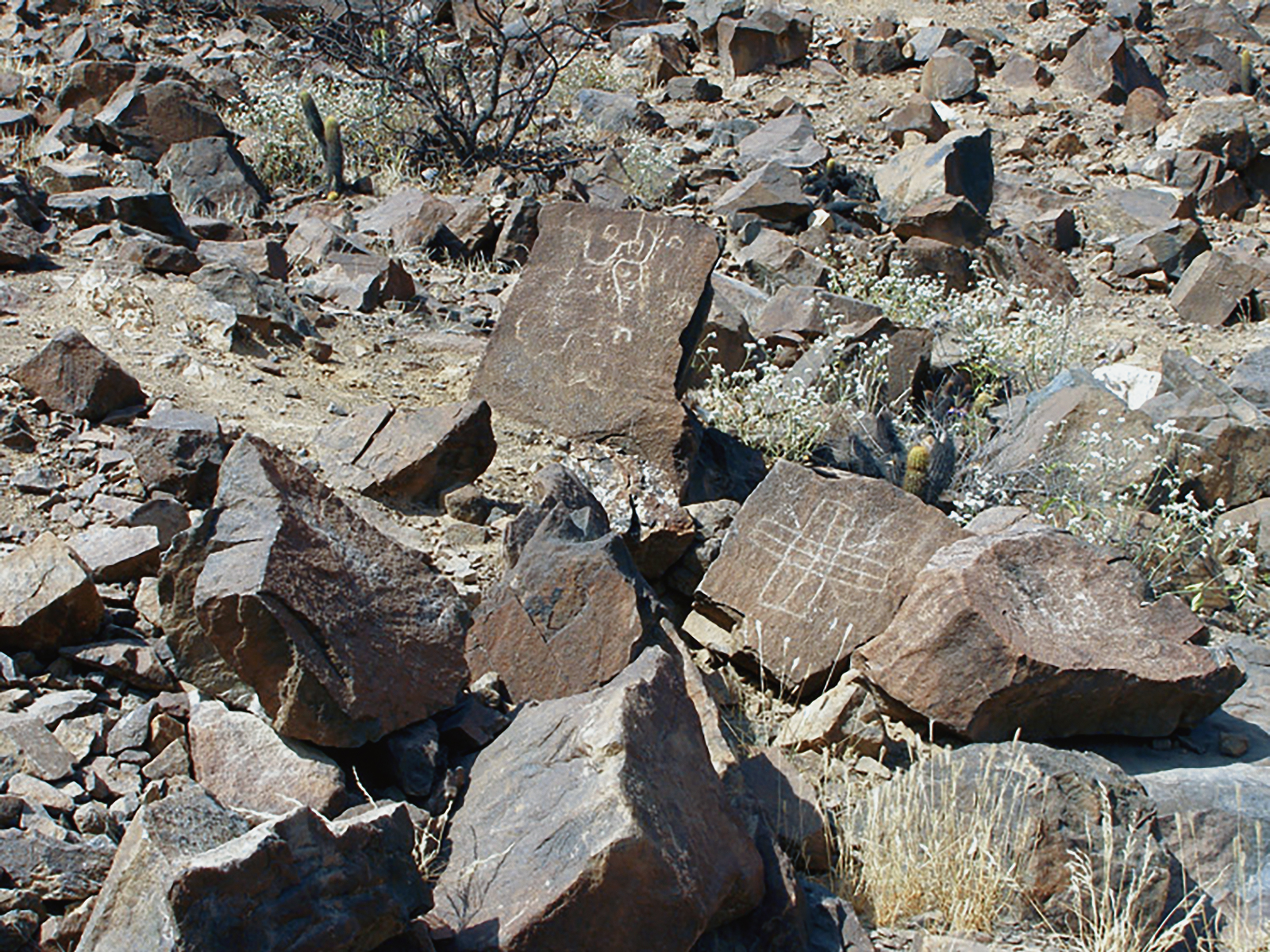 Peru | The Highlanders