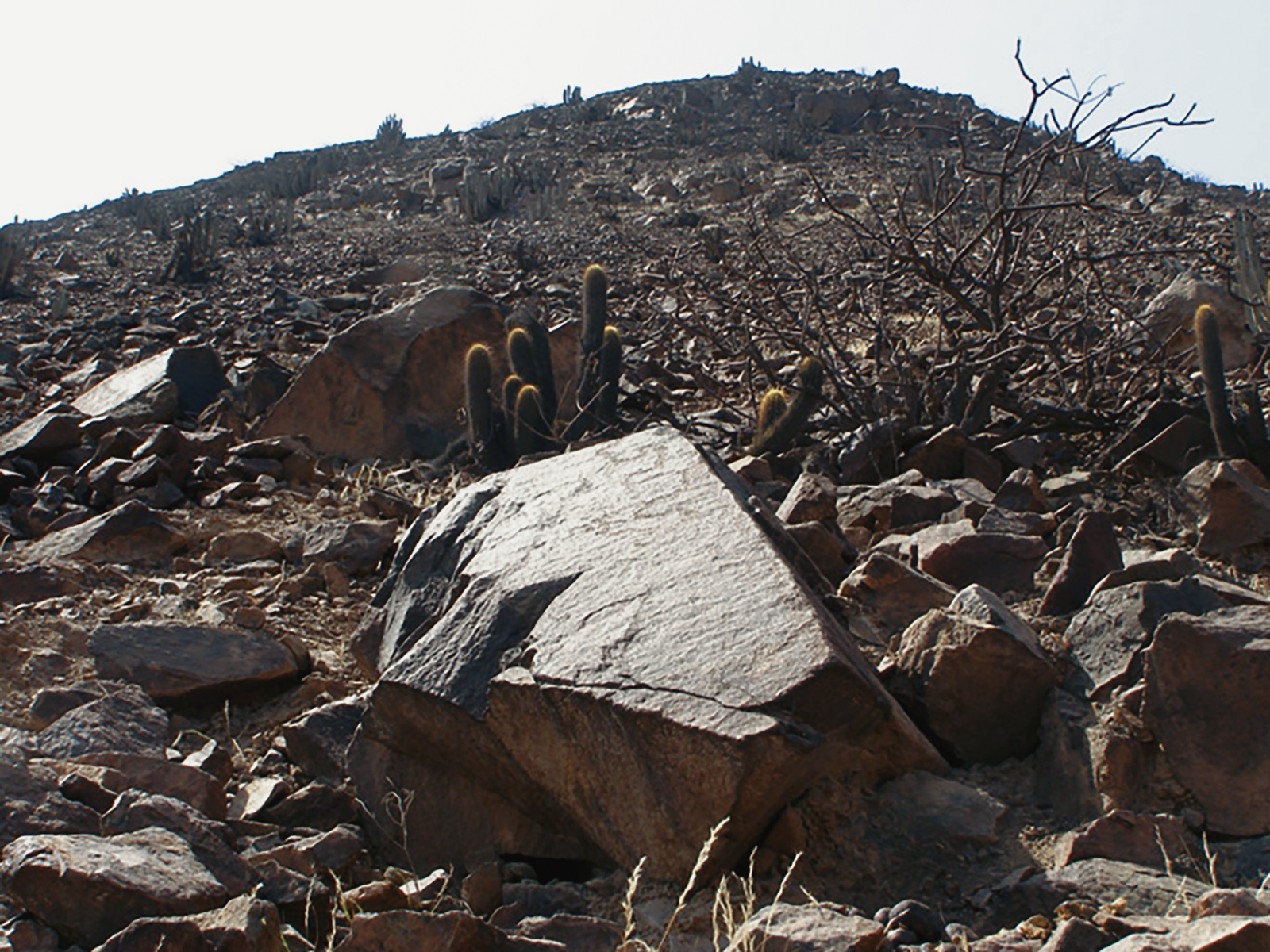 Peru | The Highlanders