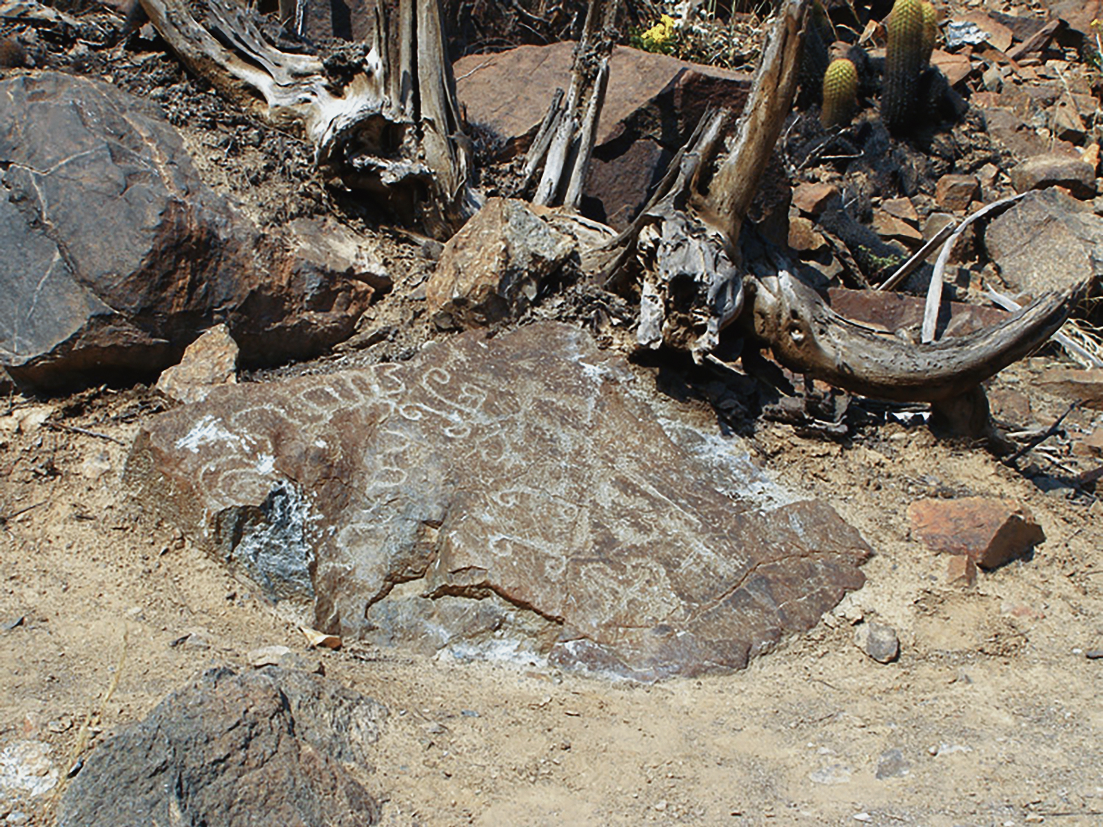 Peru | The Highlanders