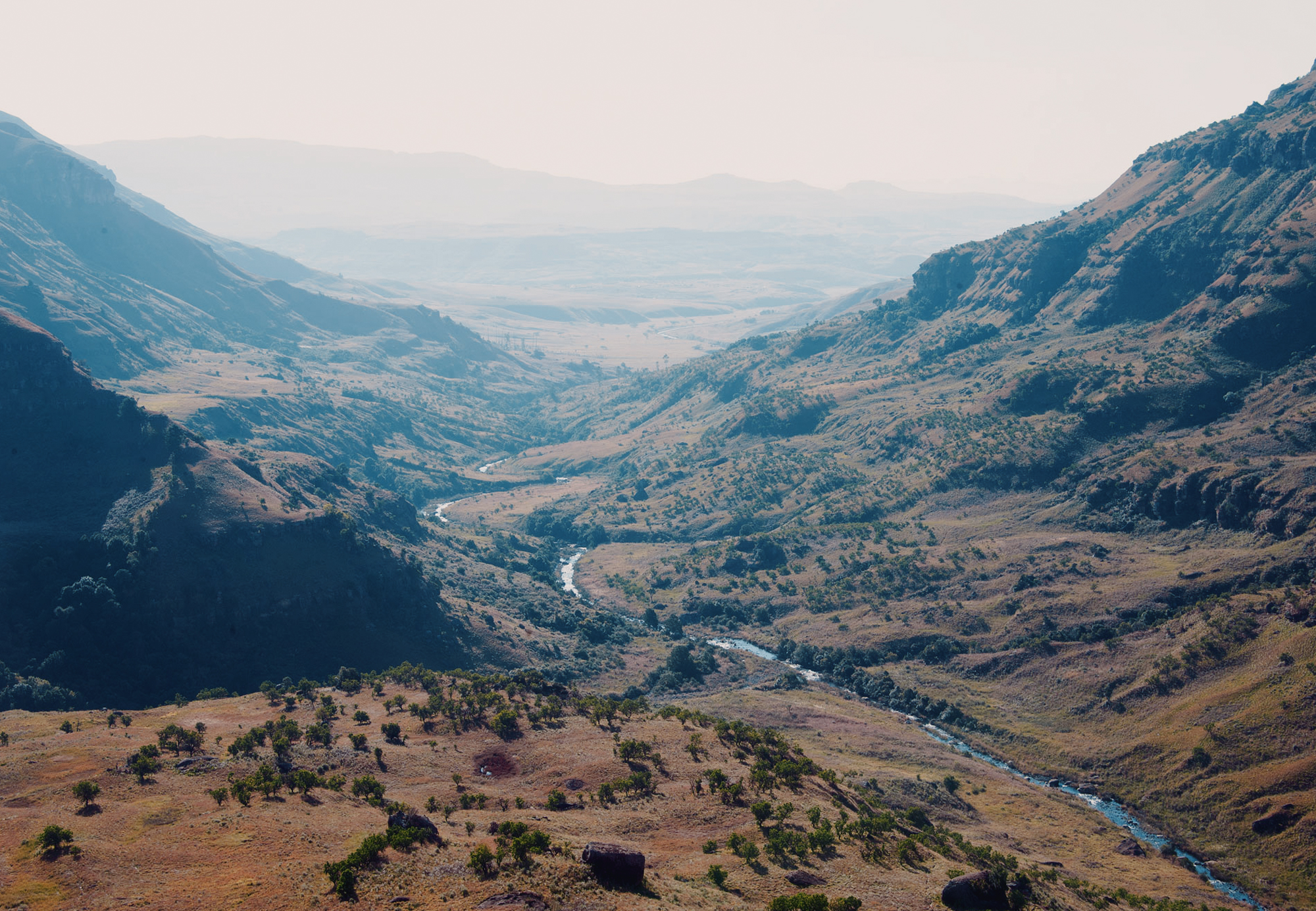 Reflecting on the abundance of sheep and baboon paintings in Junction ...