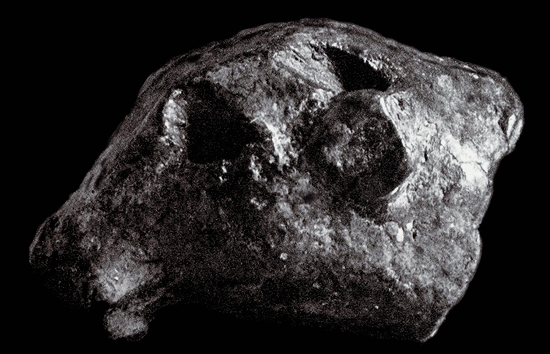 Dolní Vestonice Lion Head