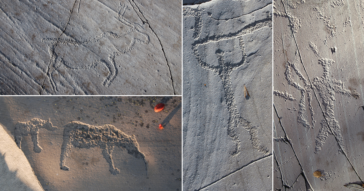 World Heritage Rock Art Centre - Alta Museum