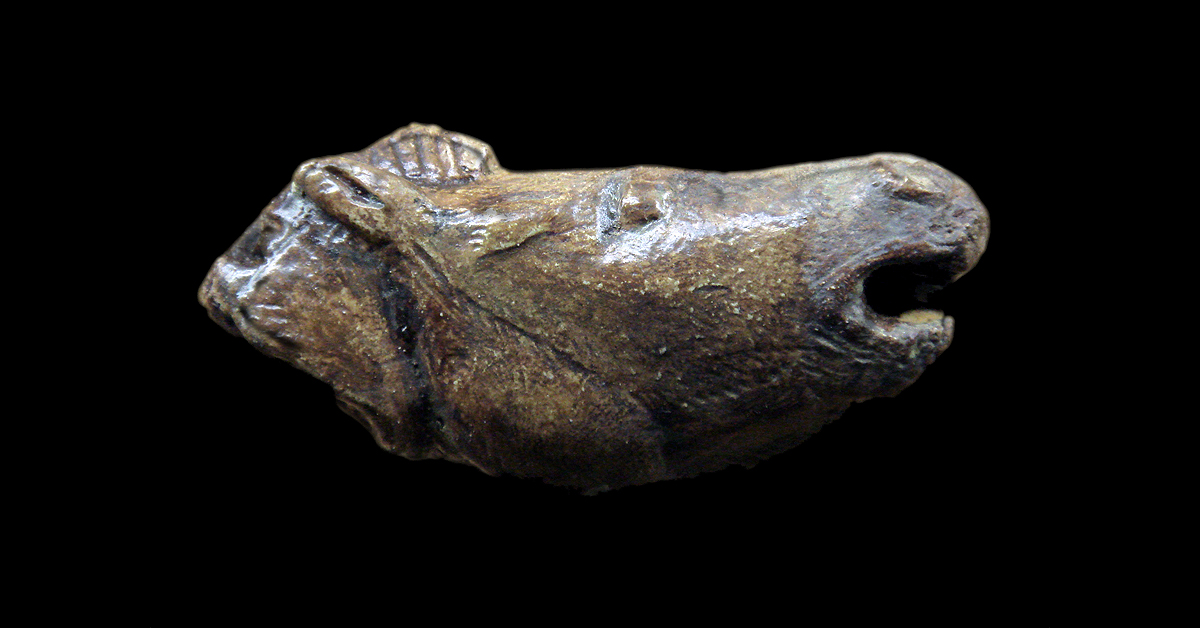 Le Mas d’Azil Neighing Horse