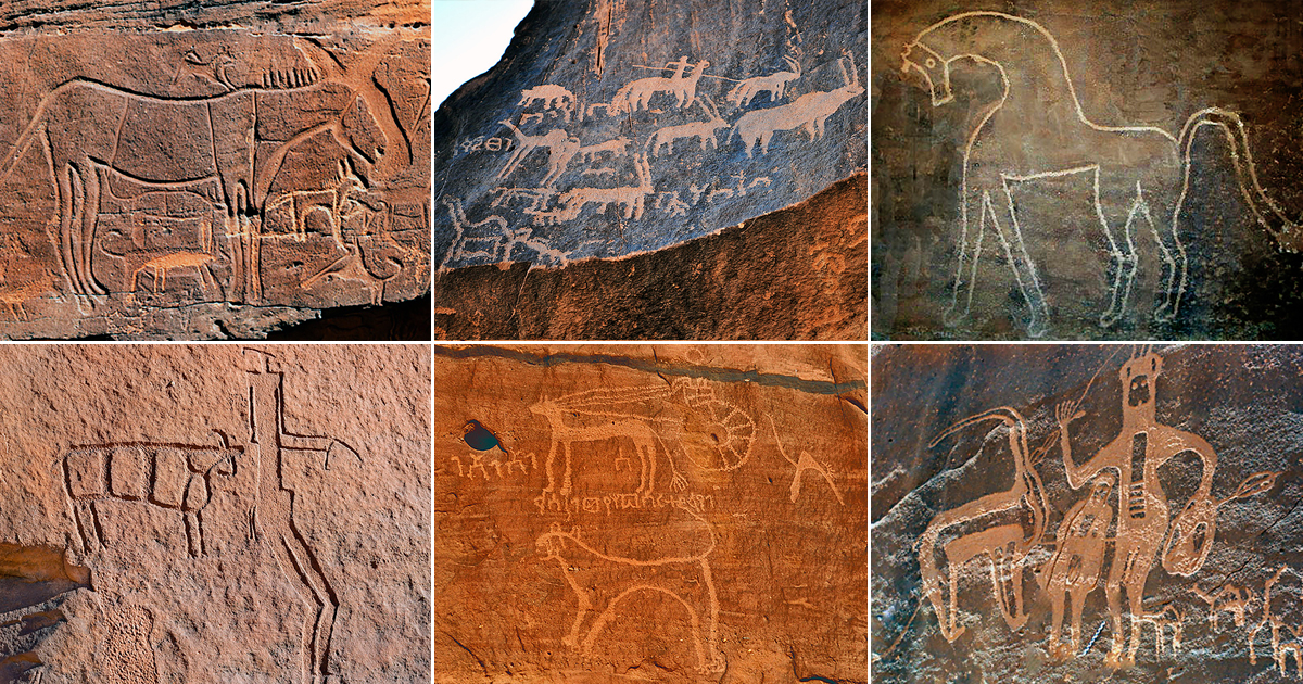 Saudi Arabia Rock Art Gallery