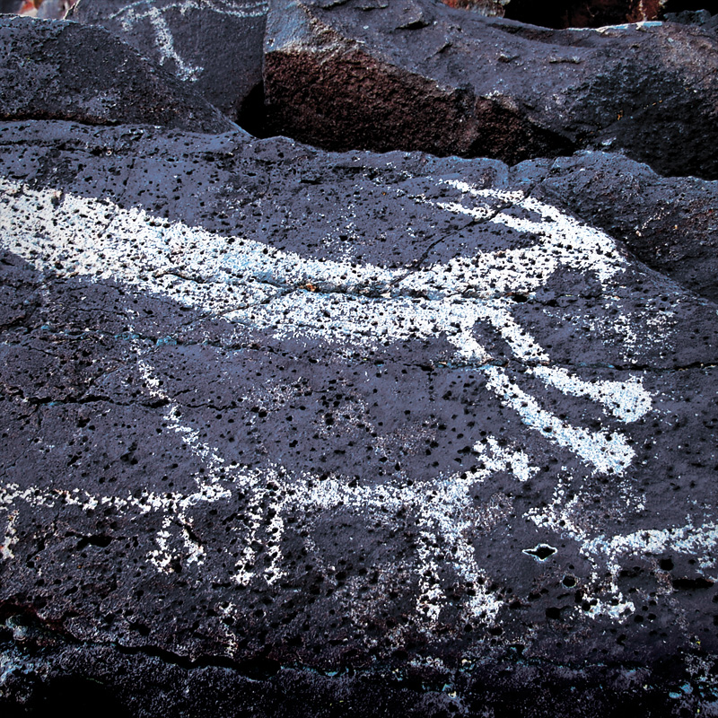 Talking Stone - Rock Art of the Cosos