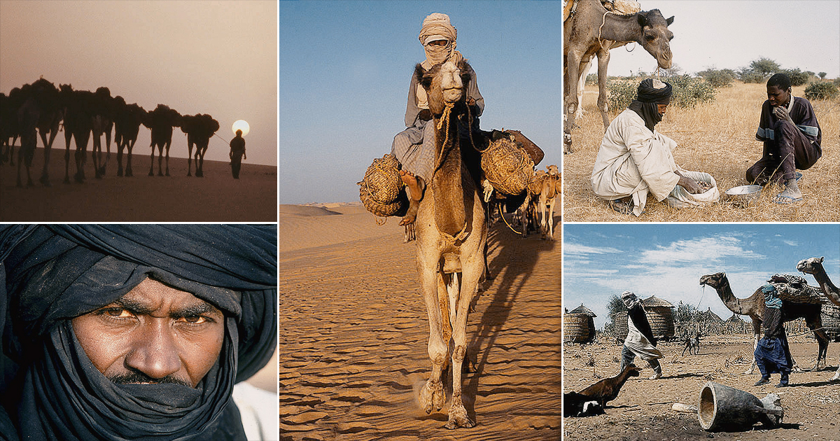 Caravans Of Salt Tuareg Trade Routes In Niger