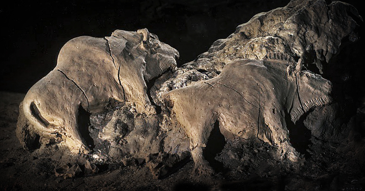 Cave Art : Bison of Tuc D'Audoubert